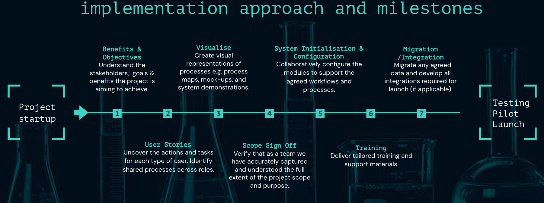 Project delivery process – risr/advance